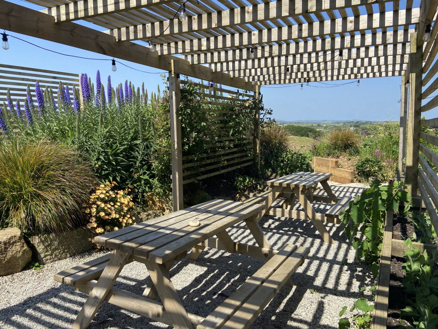 Lisa and Ben's The Big Green Shed